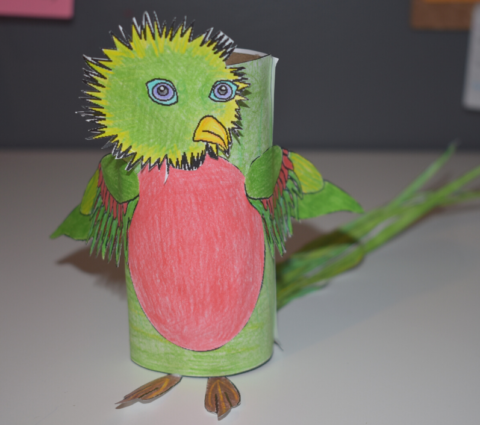 Quetzal for a Cause Craft - Cooperative for Education